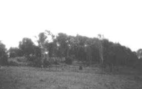 Ancient Egyptians in Australia – Freedom Code